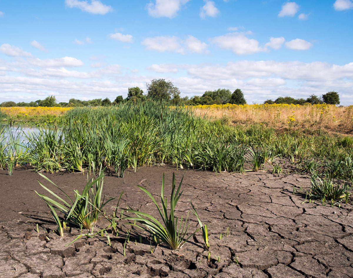 Het klimaat verandert, Zeeland verandert mee - Zuidwestelijke Delta