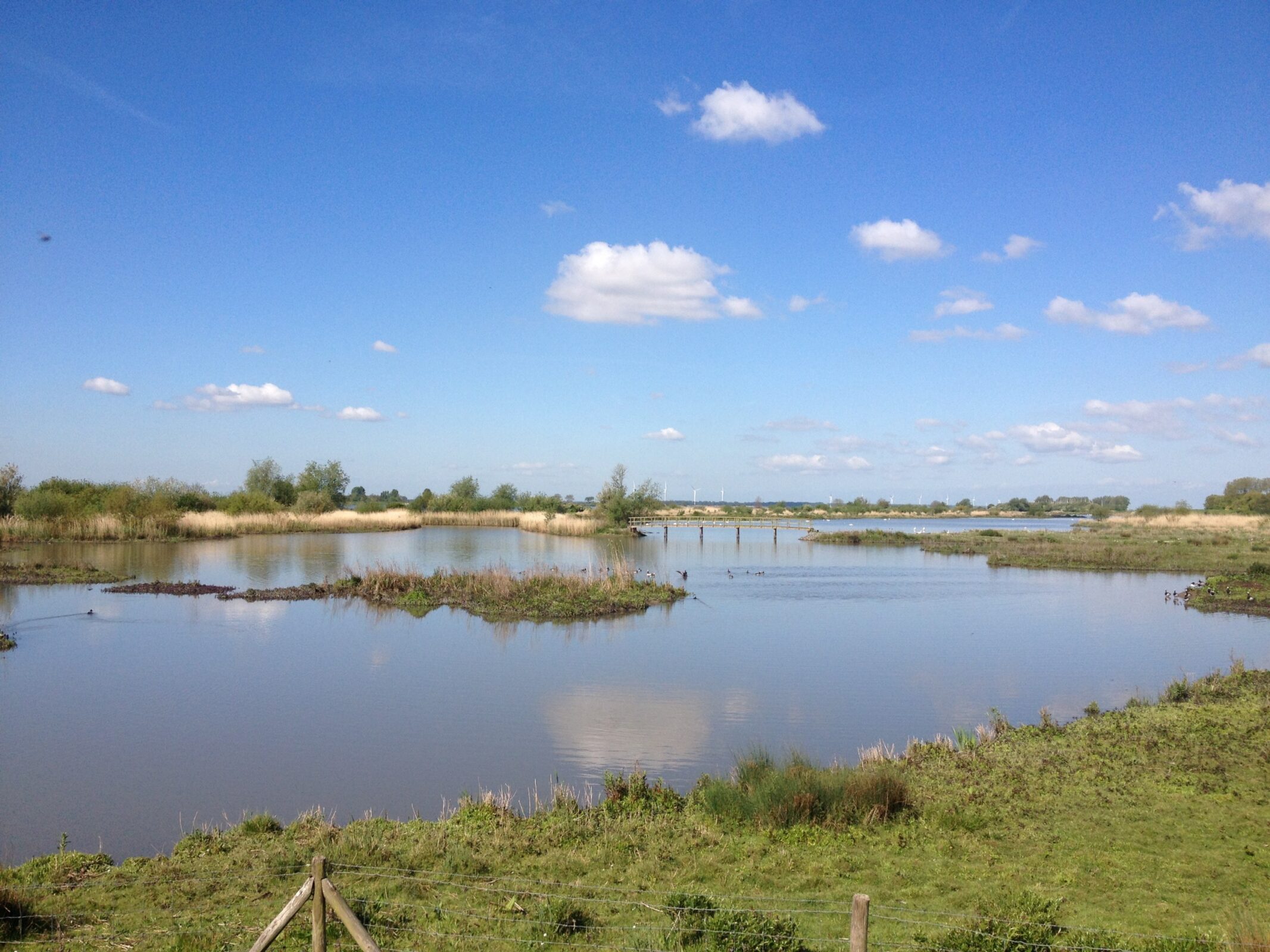 Droomfondsproject Haringvliet - Zuidwestelijke Delta