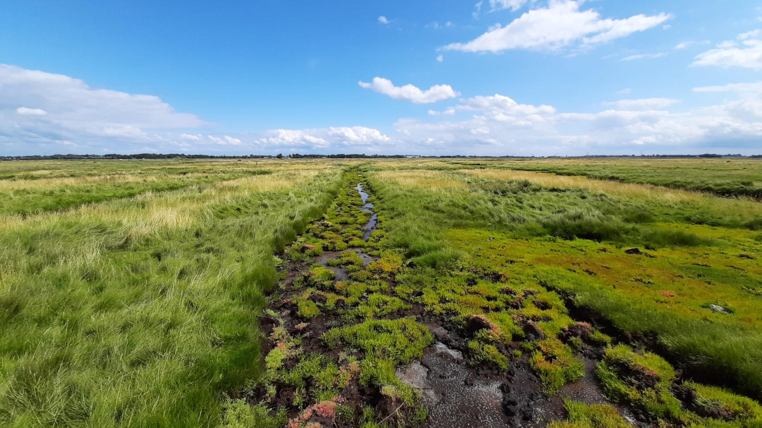 Terugblik: Oogstbijeenkomst IBP Vitaal Platteland Zuidwestelijke Delta - Zuidwestelijke Delta
