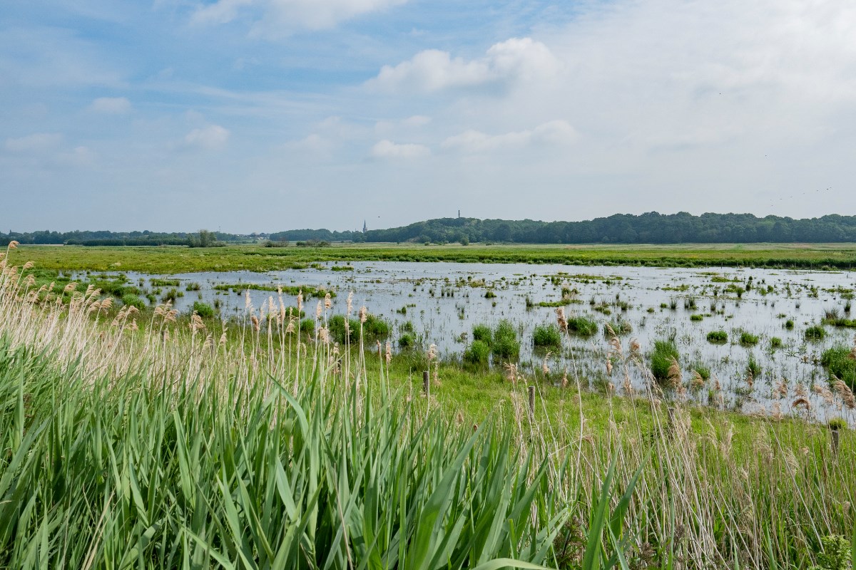 Provincies en waterschappen investeren fors in Brabantse Wal ...